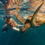 Ariki Adventures: Premium Sea Scooter Turtle Adventure - Group Size and Safety Considerations