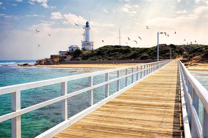 Around the Bay Sightseeing and Bay Cruise - Iconic Point Lonsdale Lighthouse