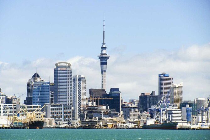 Arrival Private Transfer from Auckland Airport AKL to Auckland in Luxury Van - Final Thoughts