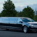 Arrival Private Transfer Port Canaveral to Orlando by Bus or Limo - Who Should Book This Transfer?