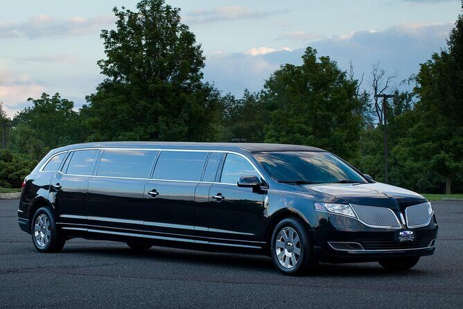 Arrival Private Transfer Port Canaveral to Orlando by Bus or Limo - Who Should Book This Transfer?