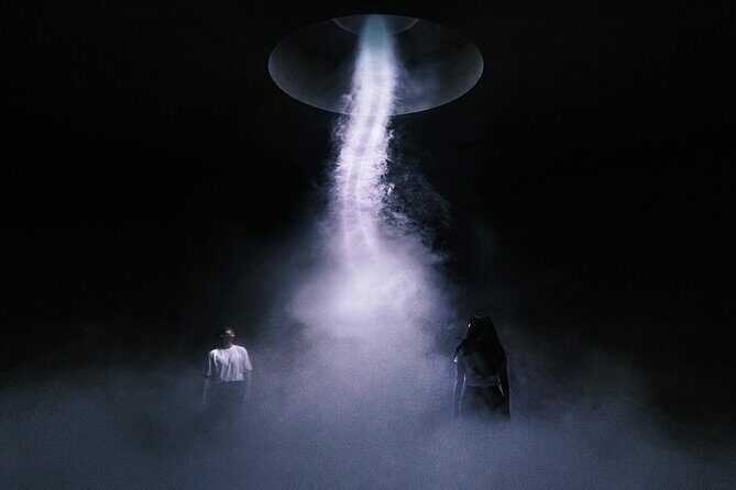 ARTE MUSEUM Immersive Media Art Exhibition in NYC - Exploring the Experience: A Deep Dive