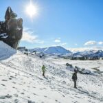 Arthur's Pass: TranzAlpine Train and Castle Hill Day Tour - What to Expect During This Tour