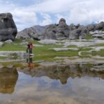 Arthurs Pass with Optional TranzAlpine Train (Private Tour) - Who Is This Tour Best For?