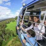 Arthurs Seat Eagle: Scenic Gondola Ride - Is It Worth the Price?