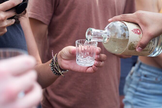 Artisanal Mezcal Culture Tour for Tasting and History - A Close Look at the Tour Itinerary