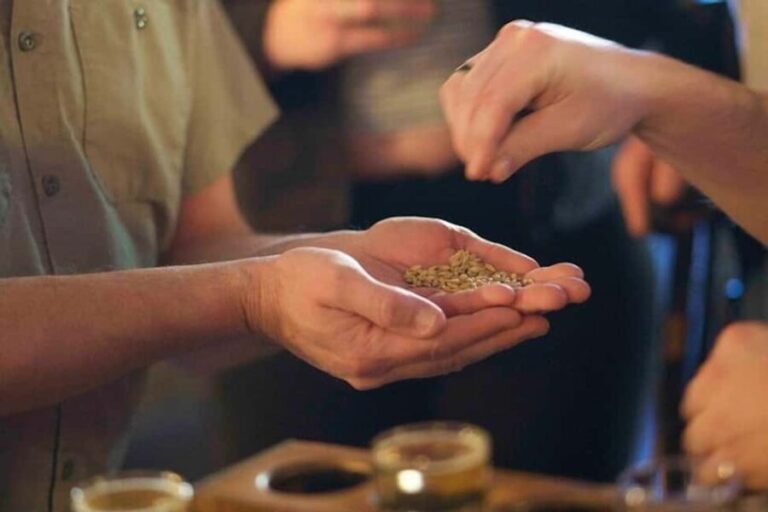 Asheville: 3 Brewery Walking Tour with Tastings - Why This Tour Is a Great Choice