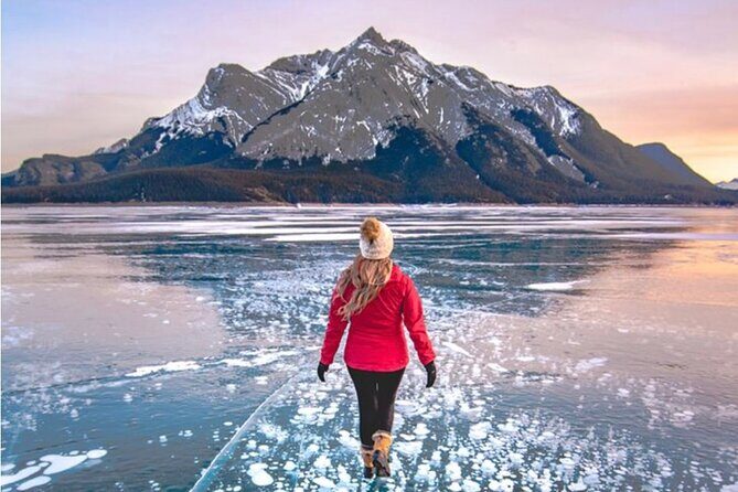 Athabasca Falls/Abraham,Sunwapta Falls,Icefield & Peyto Lake Tour - The Sum Up