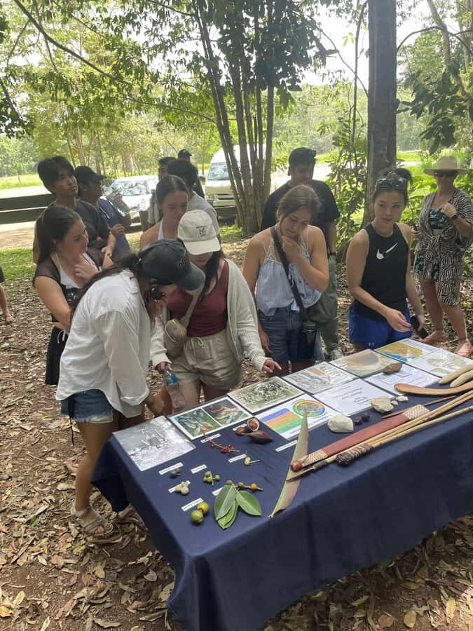 Atherton: Yidinji Explorer Tour with Fig Tree & Lake Barrine - Why This Tour Offers Great Value