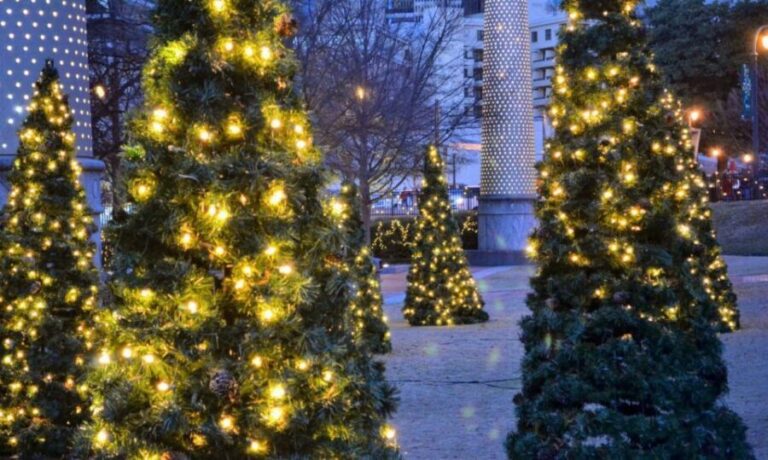 Atlanta: Christmas Private Walking Tour - What to Expect and Practical Insights