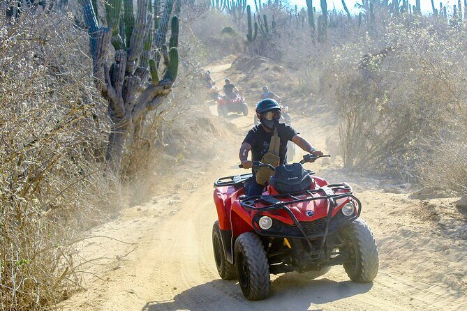 ATV and Camel Experience Los Cabos - Who Is This Tour Best For?