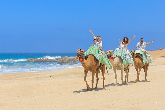 ATV & Camel Ride Tour on Migriño Beach - Who Will Love This Tour?