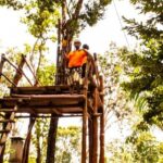 ATV Jungle Ride, Cenote & Ziplines! Roundtrip - Playa Del Carmen - Authentic Reviews and Practical Tips