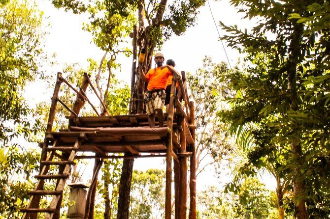 ATV Jungle Ride, Cenote & Ziplines! Roundtrip - Playa Del Carmen - Authentic Reviews and Practical Tips