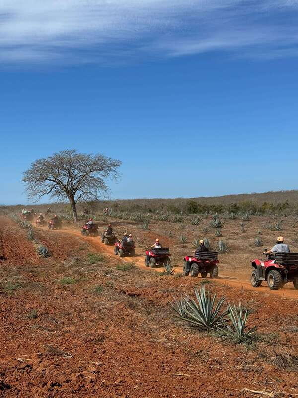 ATV & TEMAZCAL COMBO TOUR - ATV Ride: Trails, Agave, and Beach Views