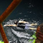 Atv Tour In Cancun (swim Cenote, Tarzan Jump And 5 Ziplines Included) - Practical Tips for Future Participants