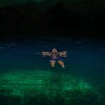 ATV Tour, Ziplines and Cenote with Lunch and Transportation - Final Thoughts