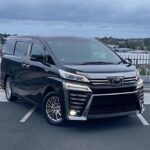 Auckland Airport/CBD Transfer 1-7 traveler (VIP/Luxury Vehicles) - Meeting Points and Convenience