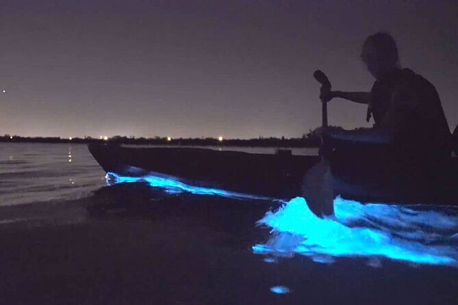 Auckland Bioluminescence Kayak Tour - Summing Up the Experience