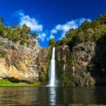 Auckland: Birdwatching, Hiking & Waterfalls Tour - An In-Depth Look at the Tour