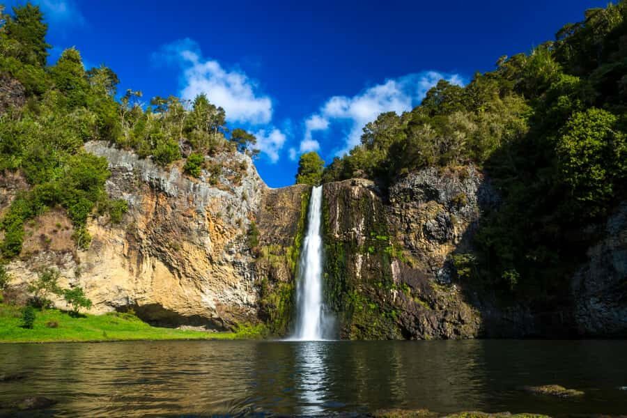 Auckland: Birdwatching, Hiking & Waterfalls Tour - An In-Depth Look at the Tour