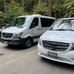 AUCKLAND CITY Full Day Tour with War Memorial Museum and Mt Eden - What You Can Expect from the Experience