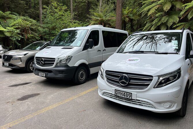 AUCKLAND CITY Full Day Tour with War Memorial Museum and Mt Eden - What You Can Expect from the Experience