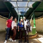 Auckland City Half Day Small Group Tour - Best Spots - Transport and Group Size