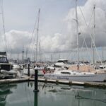 Auckland City Halfday Main Tour - Highlights From Real Reviews