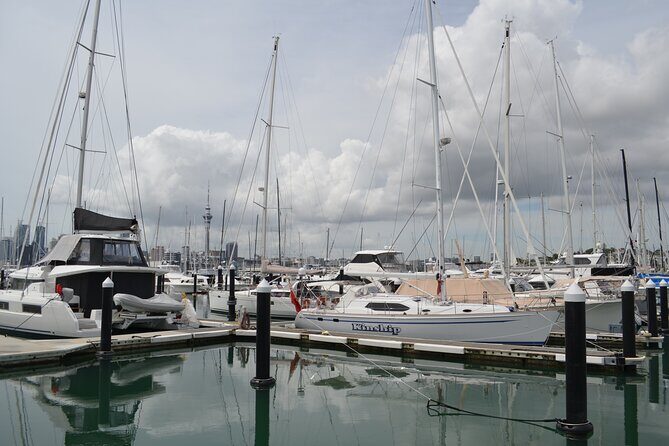 Auckland City Halfday Main Tour - Highlights From Real Reviews