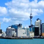 Auckland: City Highlights and Native Forest Experience - Transport and Group Size