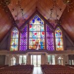 Auckland City Highlights Full Day Tour - Price and Value