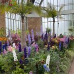 Auckland CITY HIGHLIGHTS Tour with Hotel Pickup - Exploring Auckland in Just Three Hours