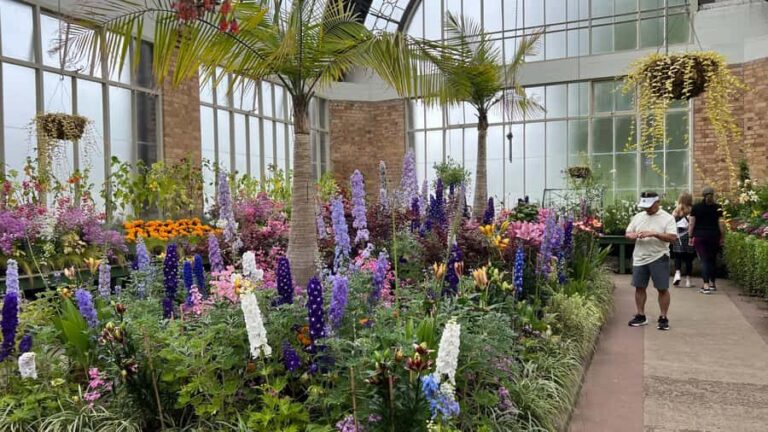 Auckland CITY HIGHLIGHTS Tour with Hotel Pickup - Exploring Auckland in Just Three Hours