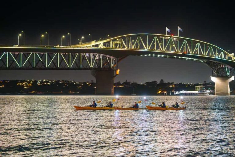 Auckland: City Lights Night Kayak Tour - An Intro to the Auckland City Lights Night Kayak Tour