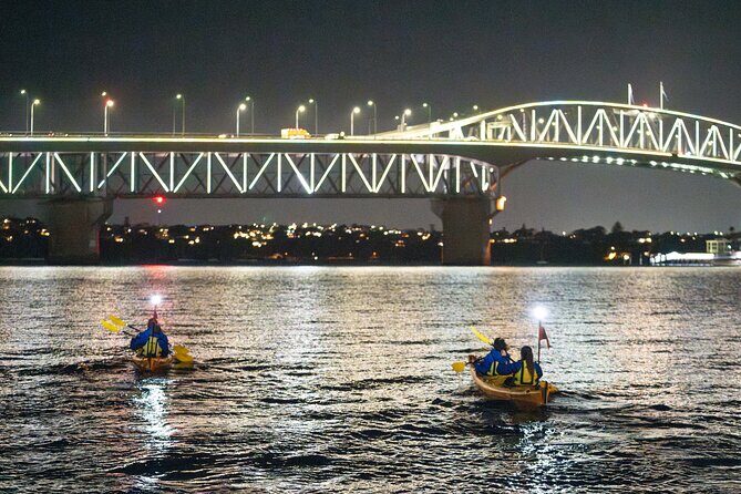 Auckland City Lights Night Kayaking Tour - Final Thoughts