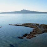 Auckland City & Native Forest Experience - Fully Guided Day Tour - Who Should Consider This Tour?