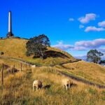 Auckland City Private Tour for Couples. Be chauffeur driven with added extras. - The Value of This Tour