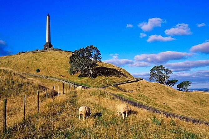 Auckland City Private Tour for Couples. Be chauffeur driven with added extras. - The Value of This Tour