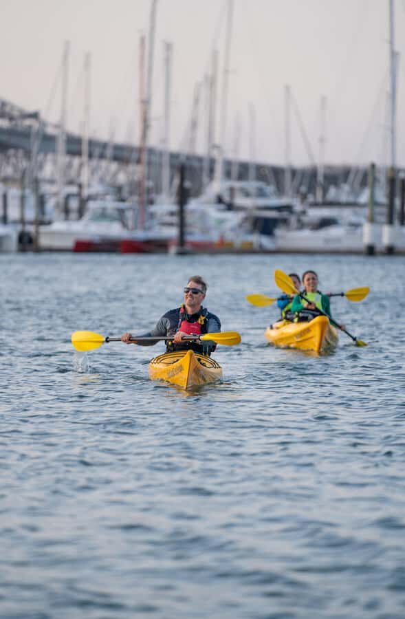 Auckland: City Scenes Kayak Tour - Why You’ll Love the Auckland City Scenes Kayak Tour