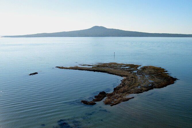 Auckland Coastal Discovery - Private Tour Incl. Wine Tasting - Practical Details You Should Know