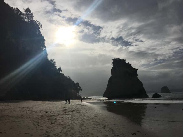 Auckland: Coromandel Day Tour including Hot Water Beach - Driving Creek Railway – A Unique Journey