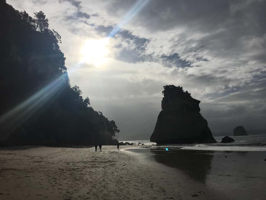 Auckland: Coromandel Day Tour including Hot Water Beach - Driving Creek Railway – A Unique Journey