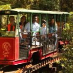 Auckland: Coromandel Driving Creek & Cathedral Cove Day Tour - Who Is This Tour Best Suited For?