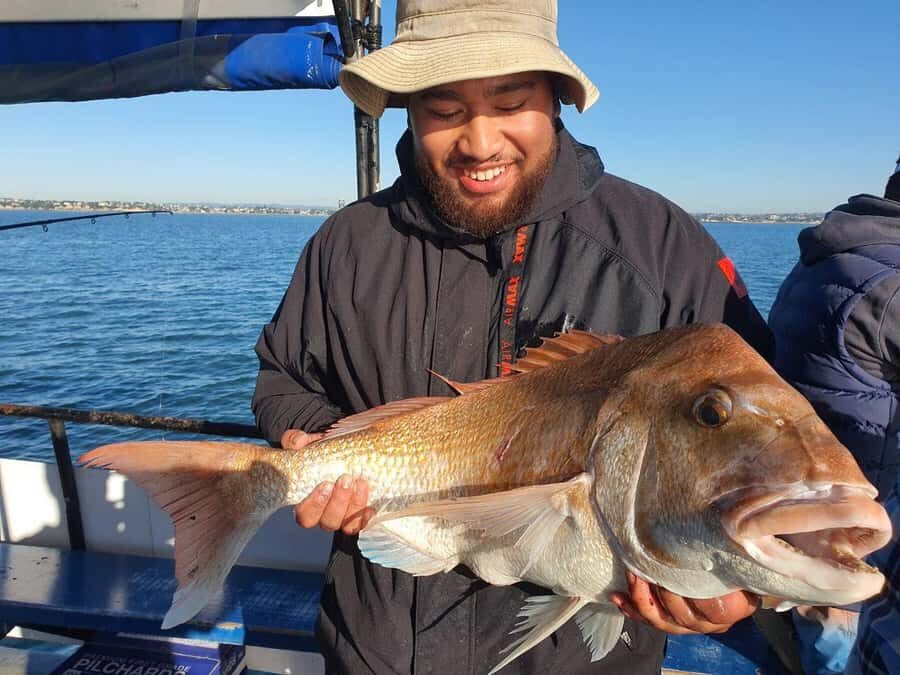 Auckland: Full-Day Fishing Charter (7 am - 4 pm) - The Itinerary in Detail
