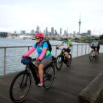 Auckland Half-Day Ebike Tour Excursion - Who Will Love This Tour?