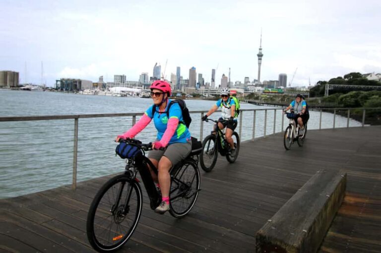 Auckland Half-Day Ebike Tour Excursion - Who Will Love This Tour?
