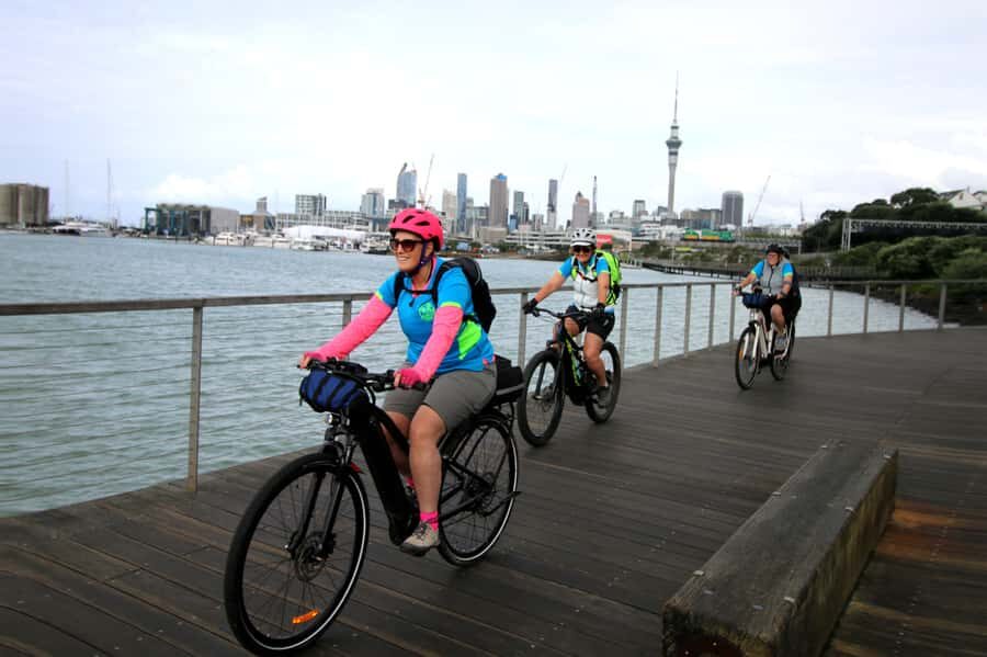 Auckland Half-Day Ebike Tour Excursion - Who Will Love This Tour?