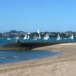 Auckland: Half-Day Private City Highlights Tour - A Closer Look at the Tour Itinerary