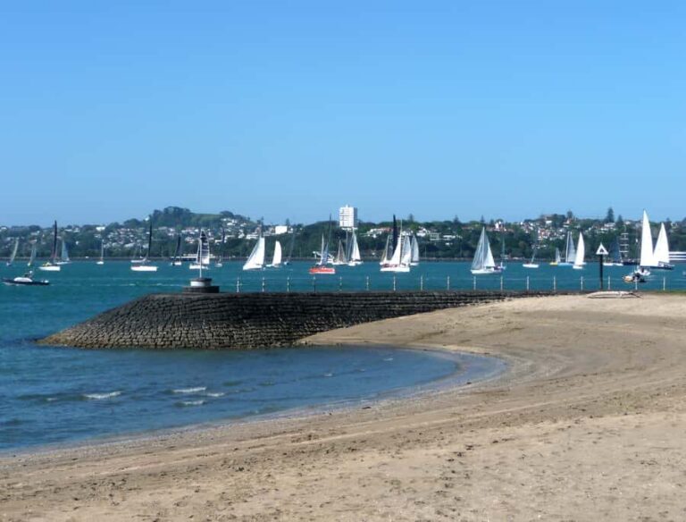 Auckland: Half-Day Private City Highlights Tour